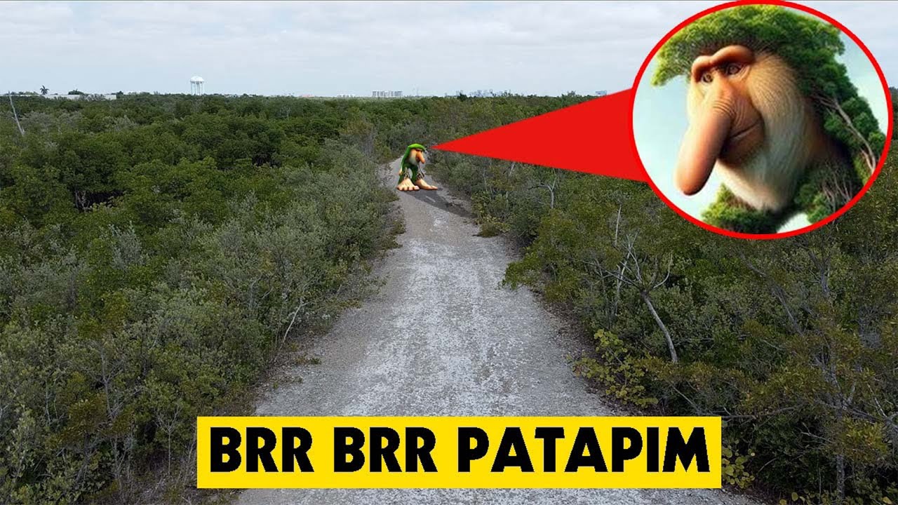WARNING: DO NOT ENTER THE BRR BRR PATAPIM ISLAND IN REAL LIFE OR BRR ...