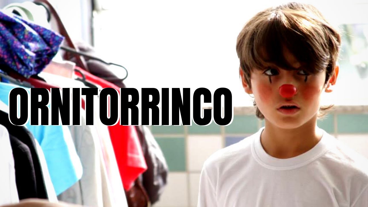 Clipe: Ornitorrinco | Música - O Olho e o Zarolho (2013) - YouTube