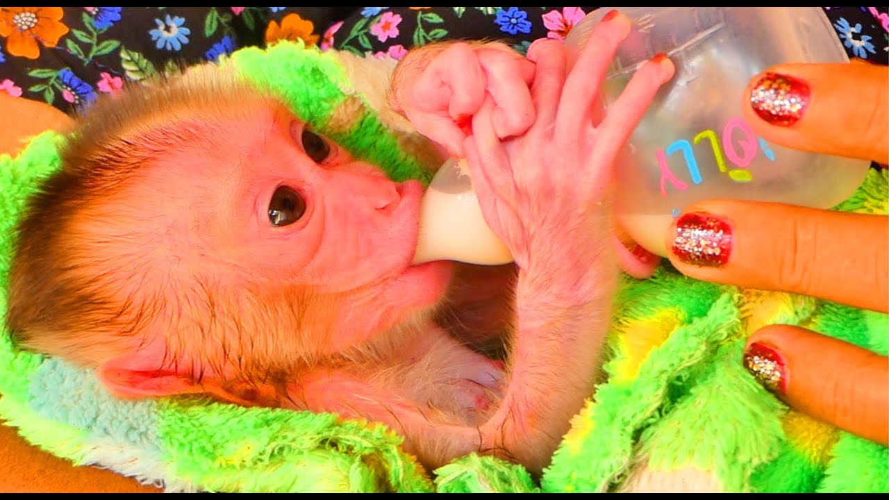 Lovely baby Bou Bou Happy To Gets Milk -Take my lovely little baby ...