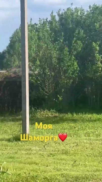ДЕРЕВНЯ МОЯ ДЕРЕВЯННАЯ ДАЛЬНЯЯ ️ ️ ️деревнямоя дачародныеместа родныепросторы родинамоя