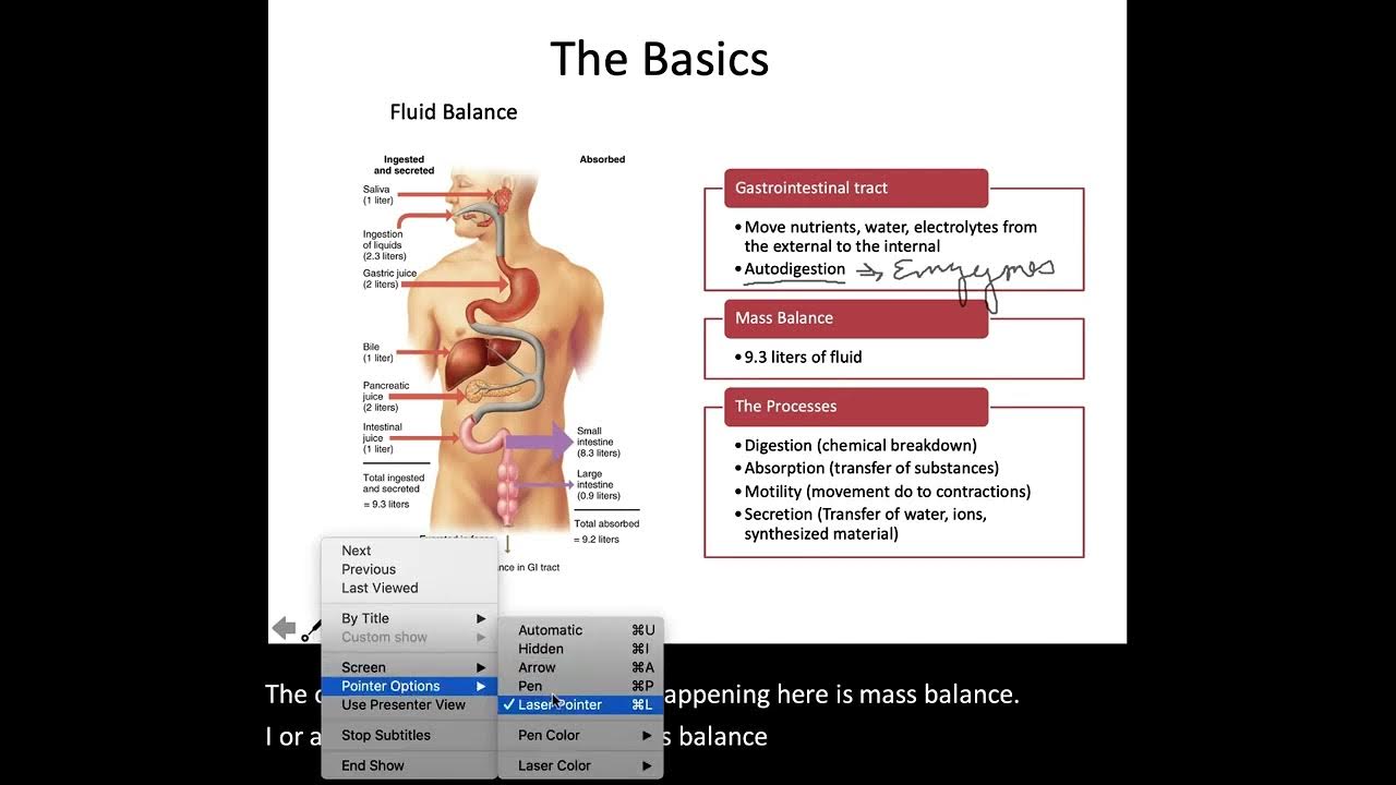 Digestive Lecture Part 1 - YouTube