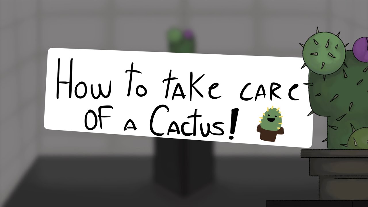 How To Take Care Of A Cactus? 🌵[Melon Playground Lore] [ORIGINAL! 🍈 ...
