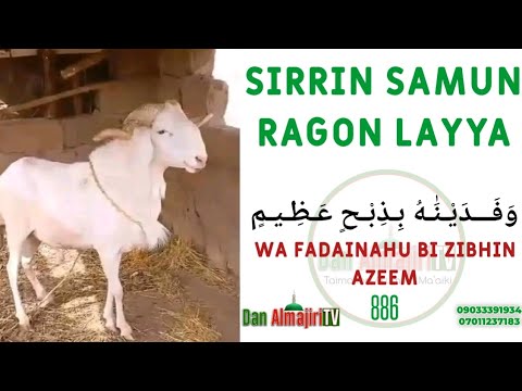 SIRRIN SAMUN RAGON LAYYA - YouTube
