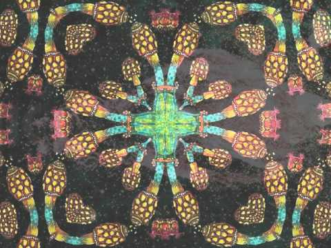 Enigma Forest - Fungus Power - YouTube