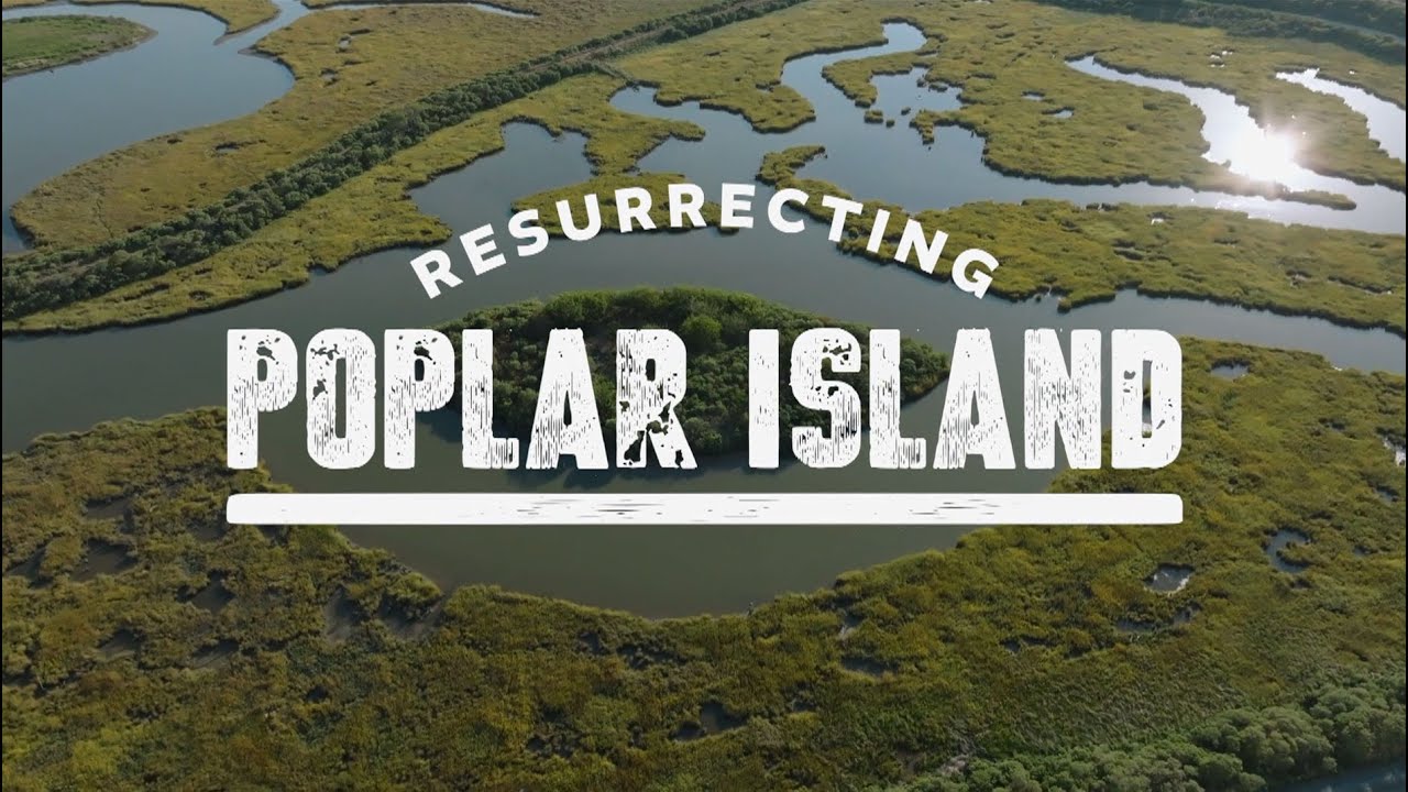 Resurrecting Poplar Island | Watch Full Film - YouTube