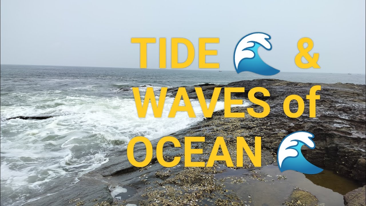 TIDE & 🌊 WAVES of the Ocean ft. SCIENCE 🧪 - YouTube