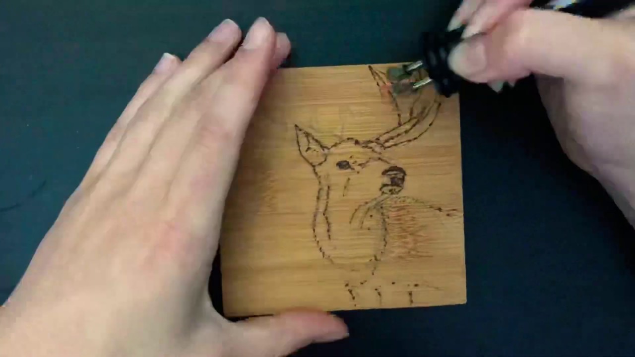 Pyrography time lapse stag coaster - YouTube
