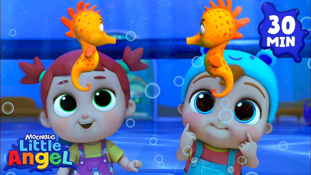 Fun Day At The Aquarium! | Animal Learning Videos | Little Angel Kids ...