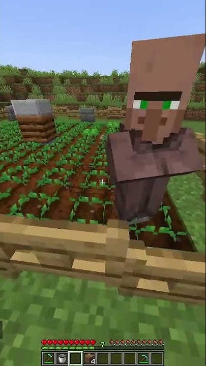 Minecraft Full Afk Carrot And Potato Farm #carrotfarm #minecraft #minecraftfarm #potatofarm # ...