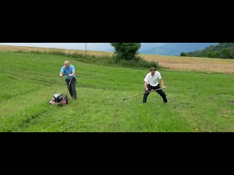 Lawn Mower versus Scythe again - Love scything 5 - YouTube