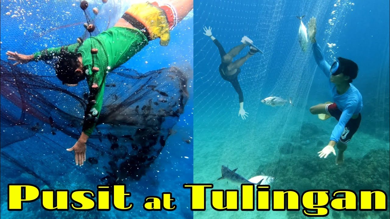 PANLALAMBAT NG PUSIT LUMOT, TULINGAN AT ISDANG HABA ( NEEDLE FISH) with ...