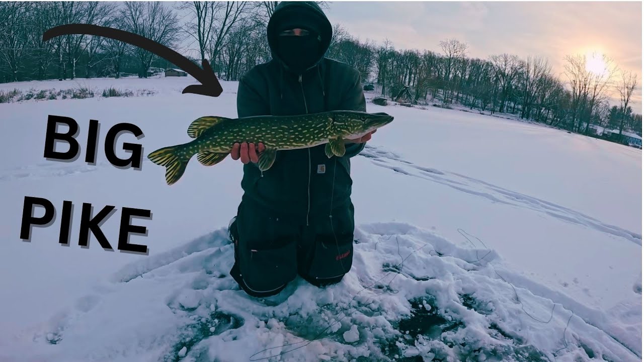 Ice Fishing My Backyard Pond (MULTISPECIES!!!) - YouTube