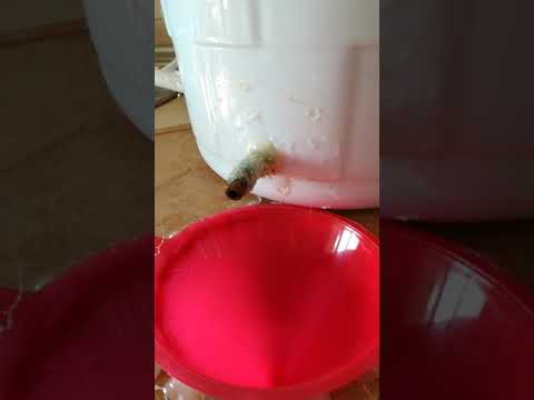 Evde İmbik ve Rakı Yapımı_6