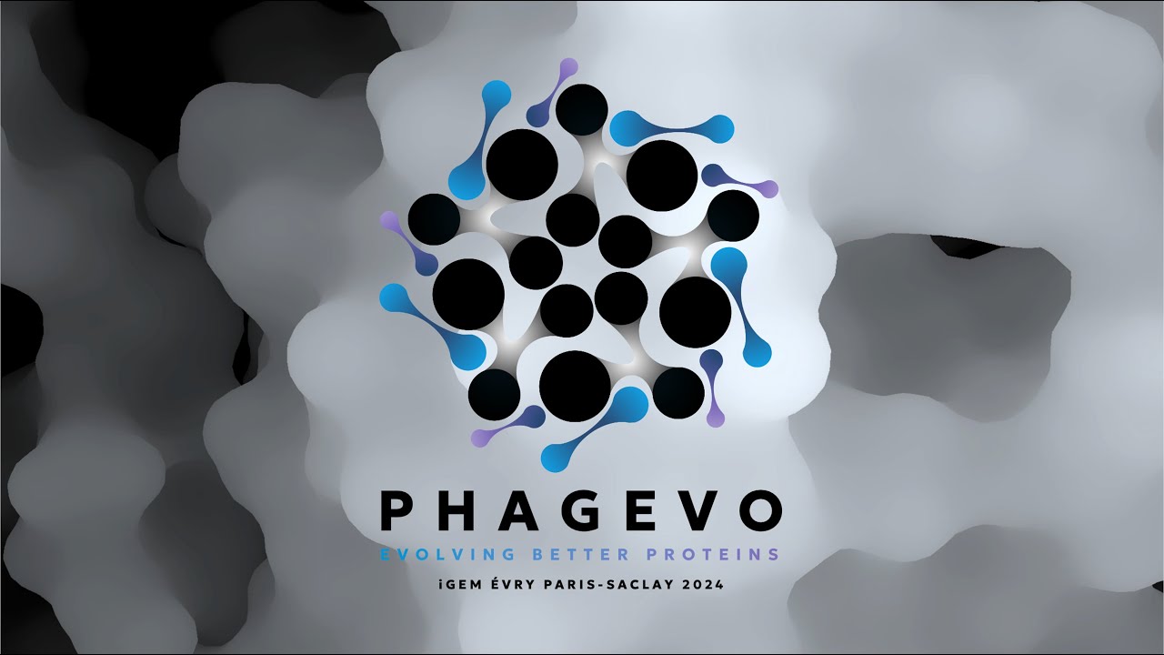 PHAGEVO // iGEM Evry Paris-Saclay 2024 // Promotional video - YouTube