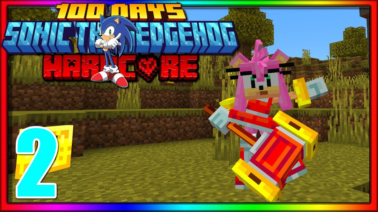 Amy Rose Sonic Boom Minecraft Skin