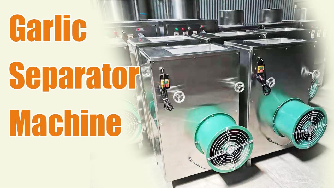 Revolutionizing Garlic Processing: 98% Efficiency Garlic Clove ...