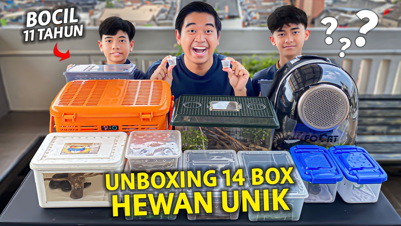 UNBOXING 14 KOTAK HEWAN UNIK PUNYA BOCIL 11 TAHUN! ISINYA HEWAN B4H4Y4?! - YouTube