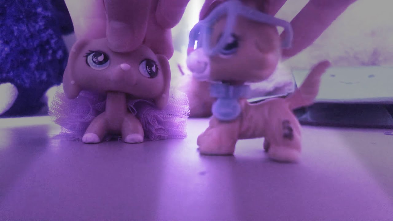 NEW LPS!!!!!!! - YouTube