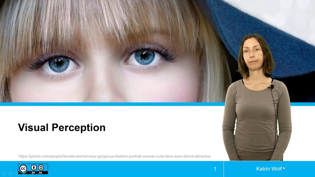Visual Perception / Visuelle Informationsaufnahme - YouTube