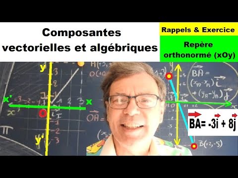 Repère orthonormé Oij / Oxy : Composantes vectorielles et algébriques ...
