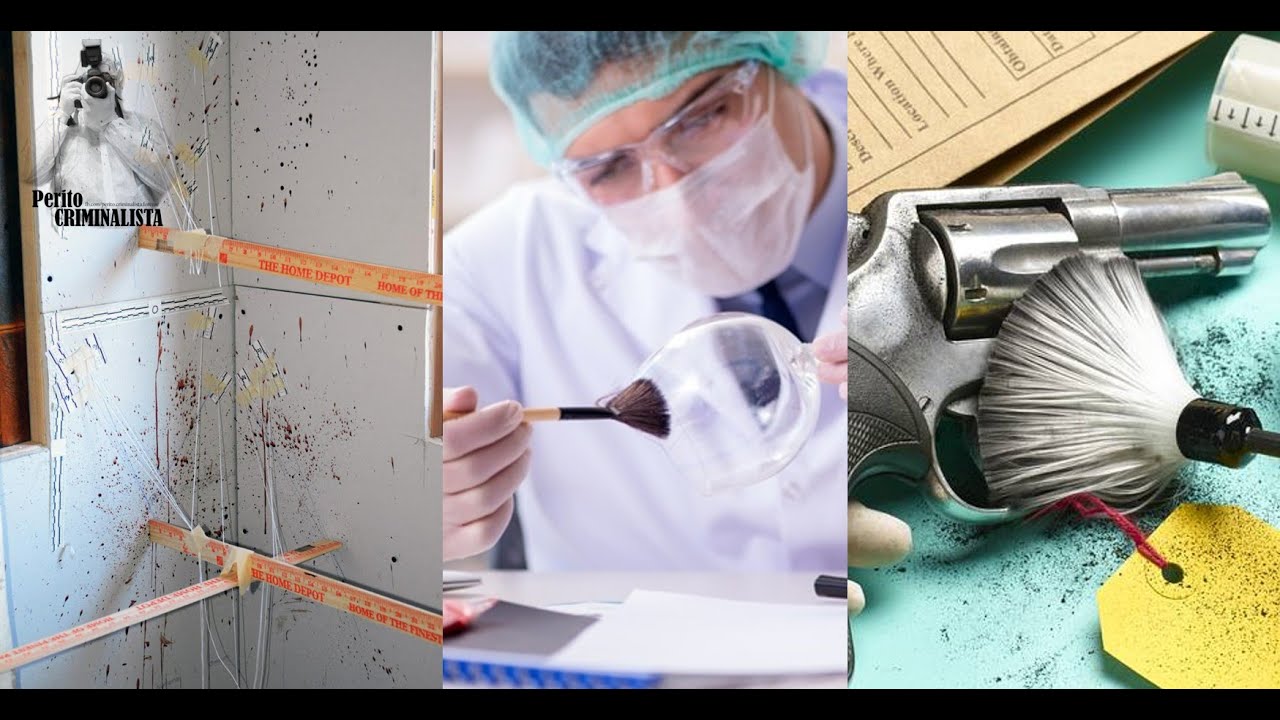 El aporte jurídico del peritaje médico legal. - YouTube