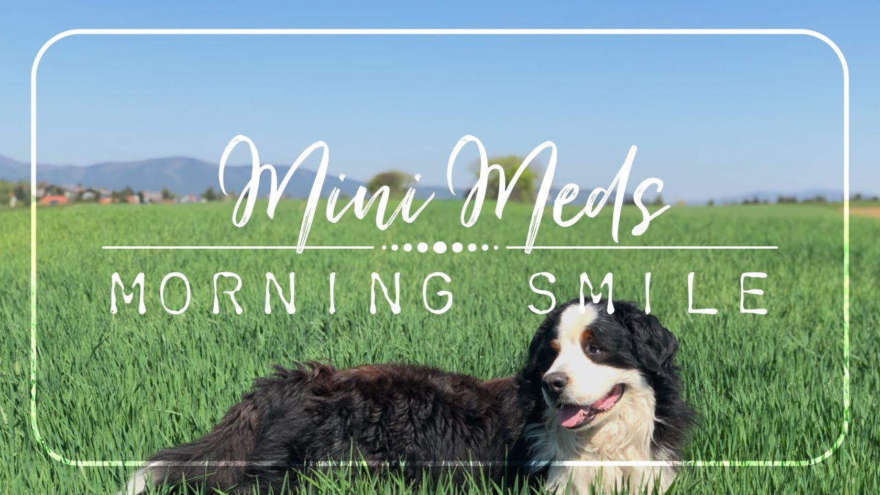 Mini Meditation | MORNING SMILE | 5 Minute Guided Meditation | Start ...