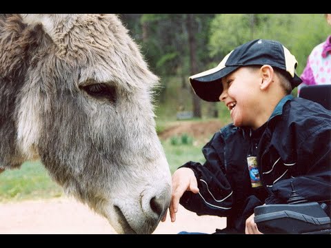 Child Crisis Arizona's Whispering Hope Ranch - YouTube