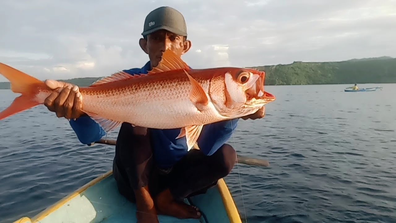 DI SPOT IKAN KURISI ( RUBY SNAPPER) || DARI PAGI SAMPAI PETANG MONSTER SEMUA YANG NAIK# ...