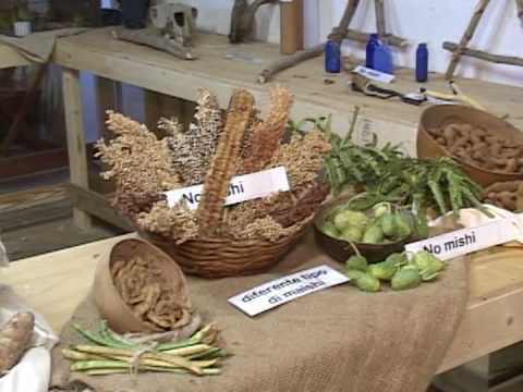 Kortamentu di maishi - YouTube