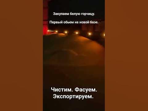 Закупаем белую горчицу - YouTube