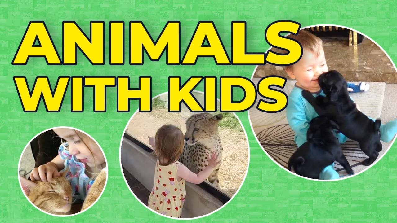 Top 10 Kids and Animal Interactions - YouTube