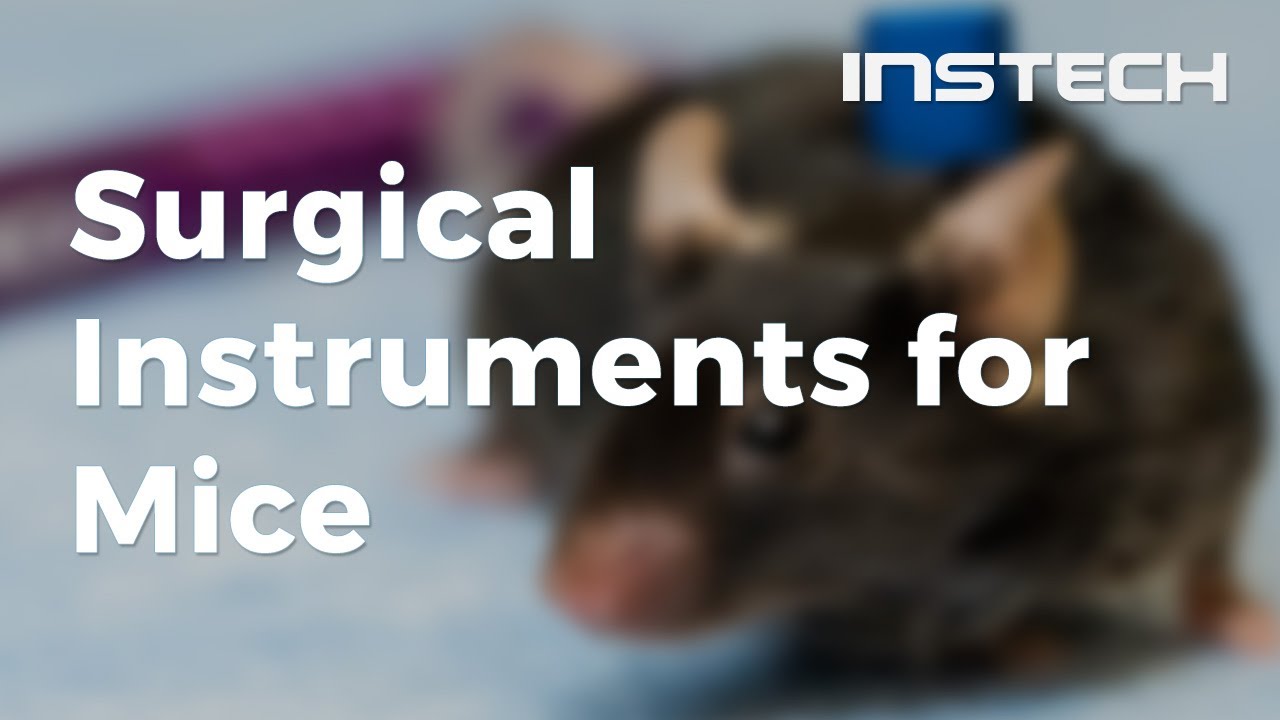Surgical Instruments for Mouse Catheterization - YouTube
