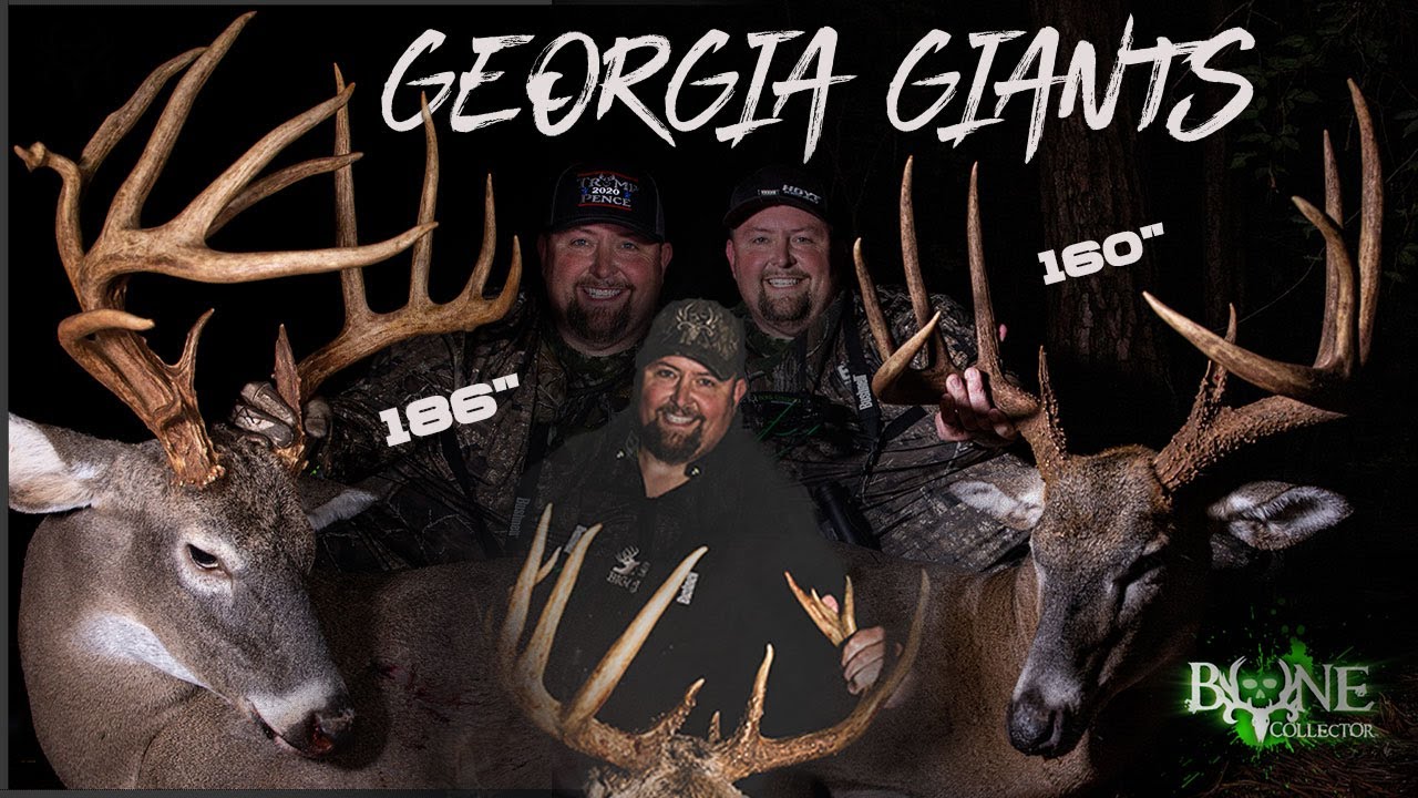 Tbone's Giant GA Bucks. 186 inch #2 All Time Record - YouTube