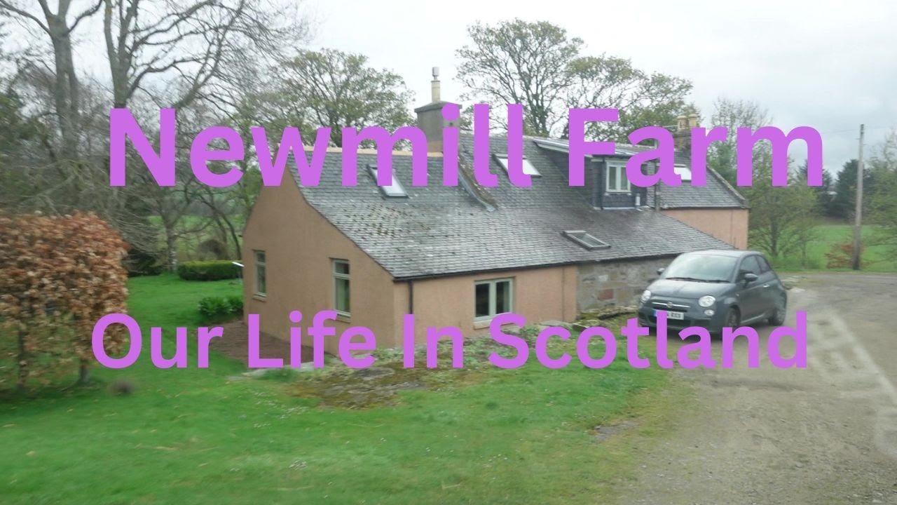 Out And About - Our Homestead Life In Scotland - YouTube