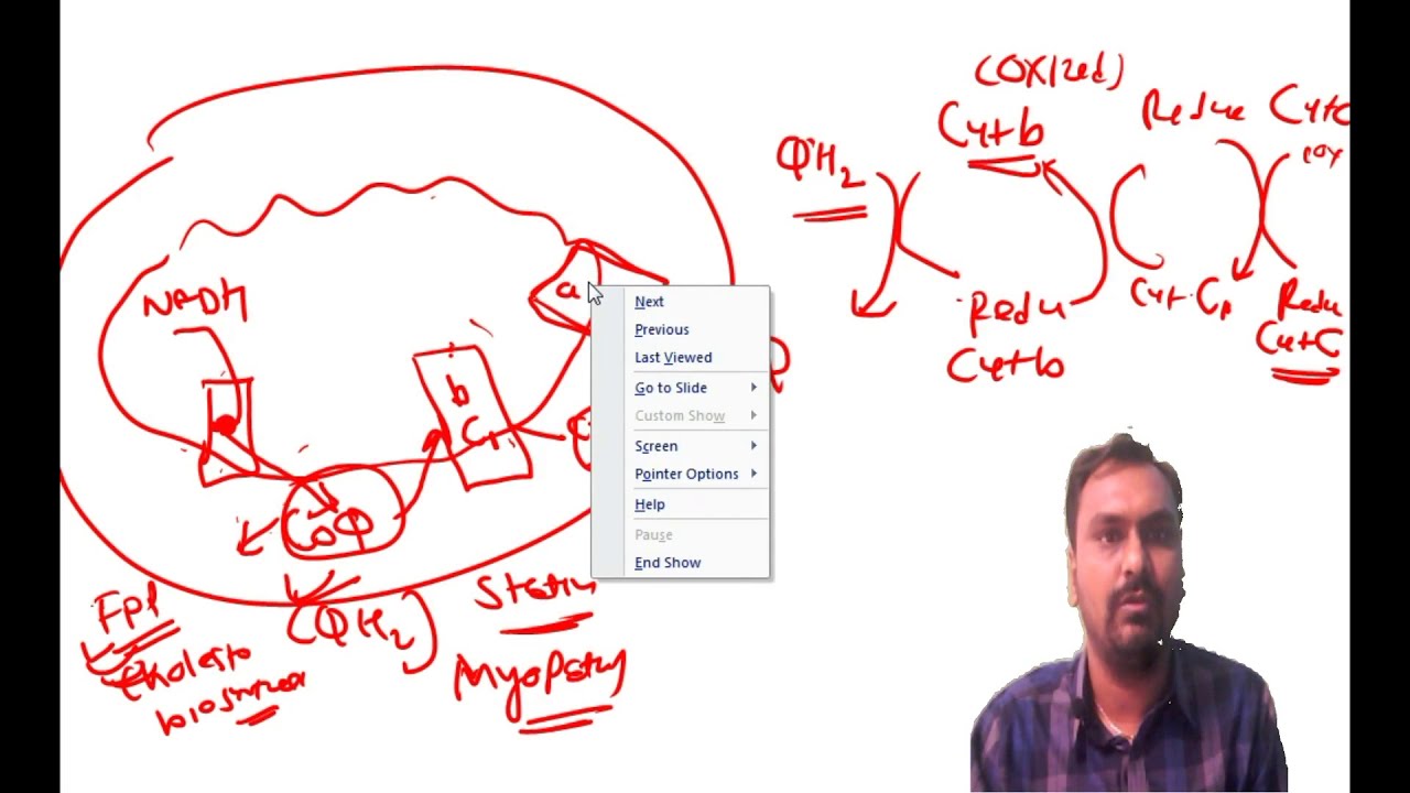 Biological oxidation Biochemistry | Electron transport chain ...
