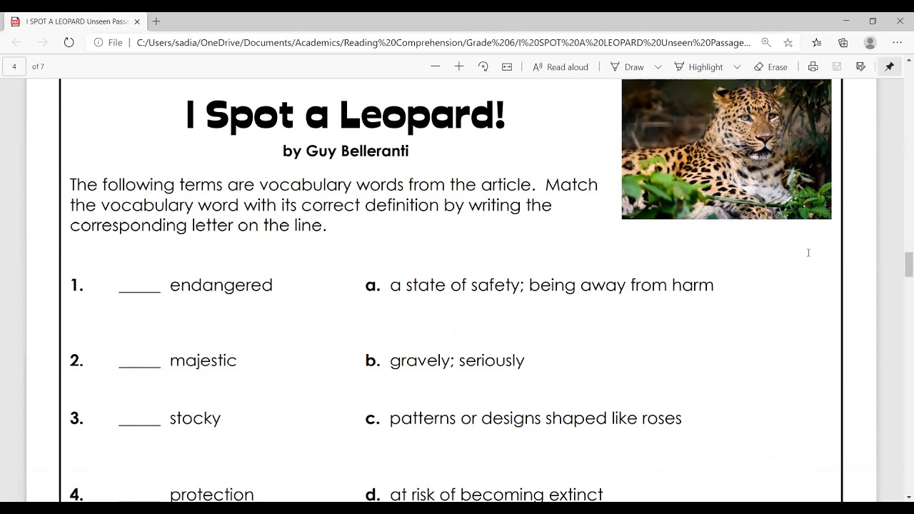 Reading Comprehension - I Spot a Leopard - Coaching Mentor - YouTube