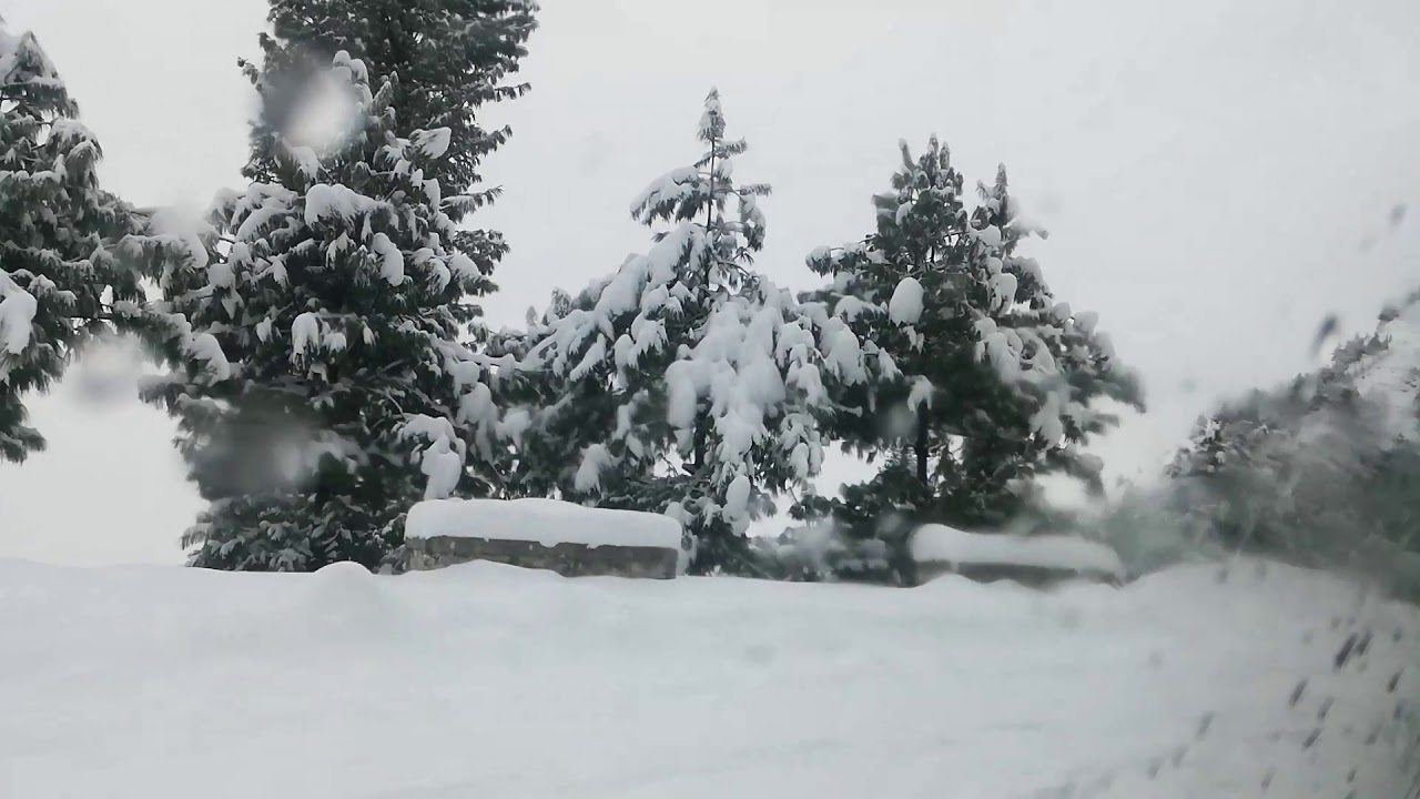 Snowfall 2020 (Shangla top Pakistan ) - YouTube