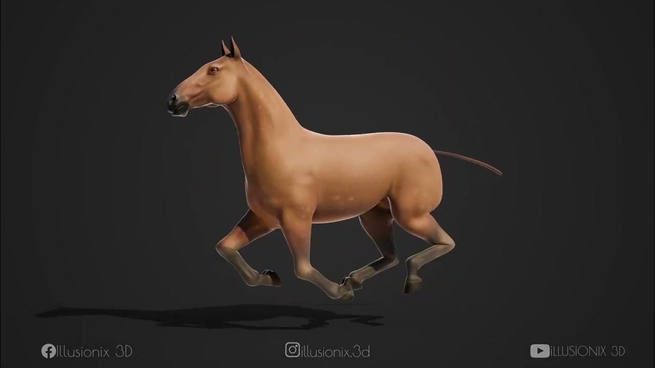 Horse Run Cycle (Gallop) Animation: Captivating Quadruped Movement ...