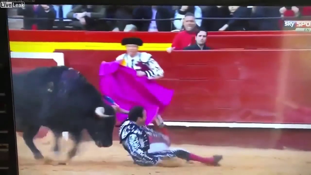 BBC NEWS Matador gets injured when a bull tosses him in the air and ...
