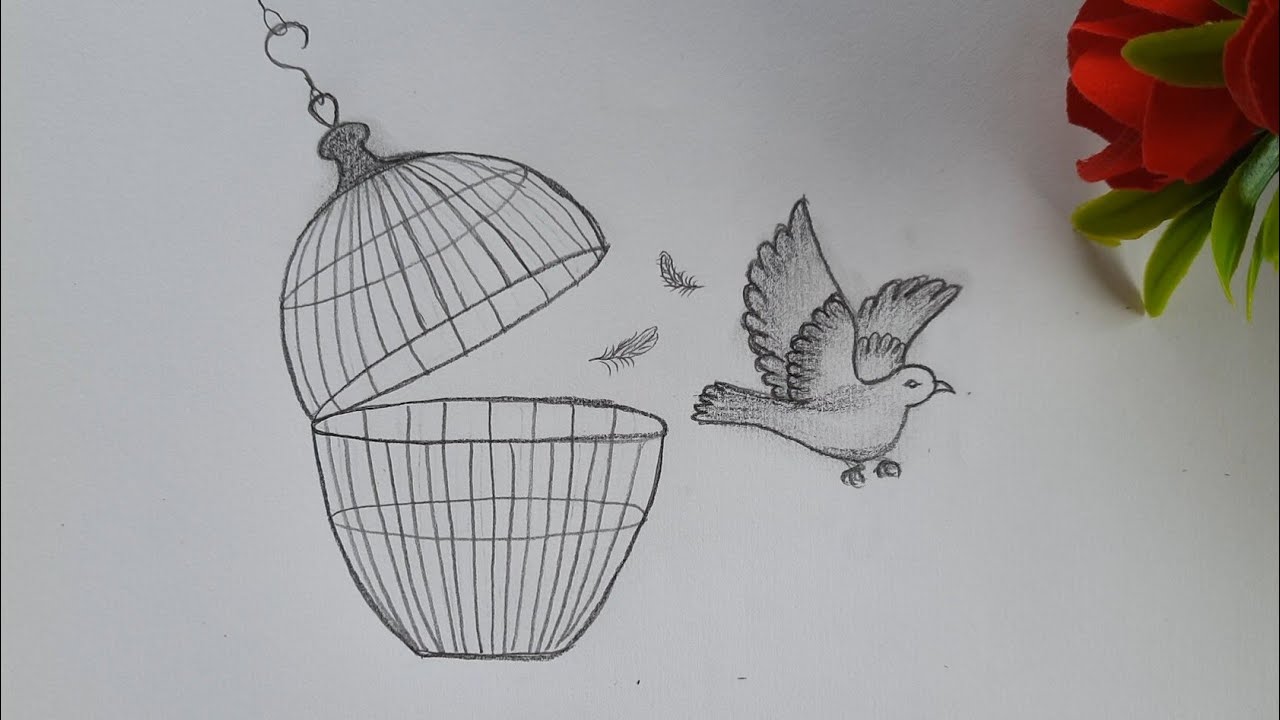 Bird with cage drawing easy || draw a freedom bird with cage - YouTube