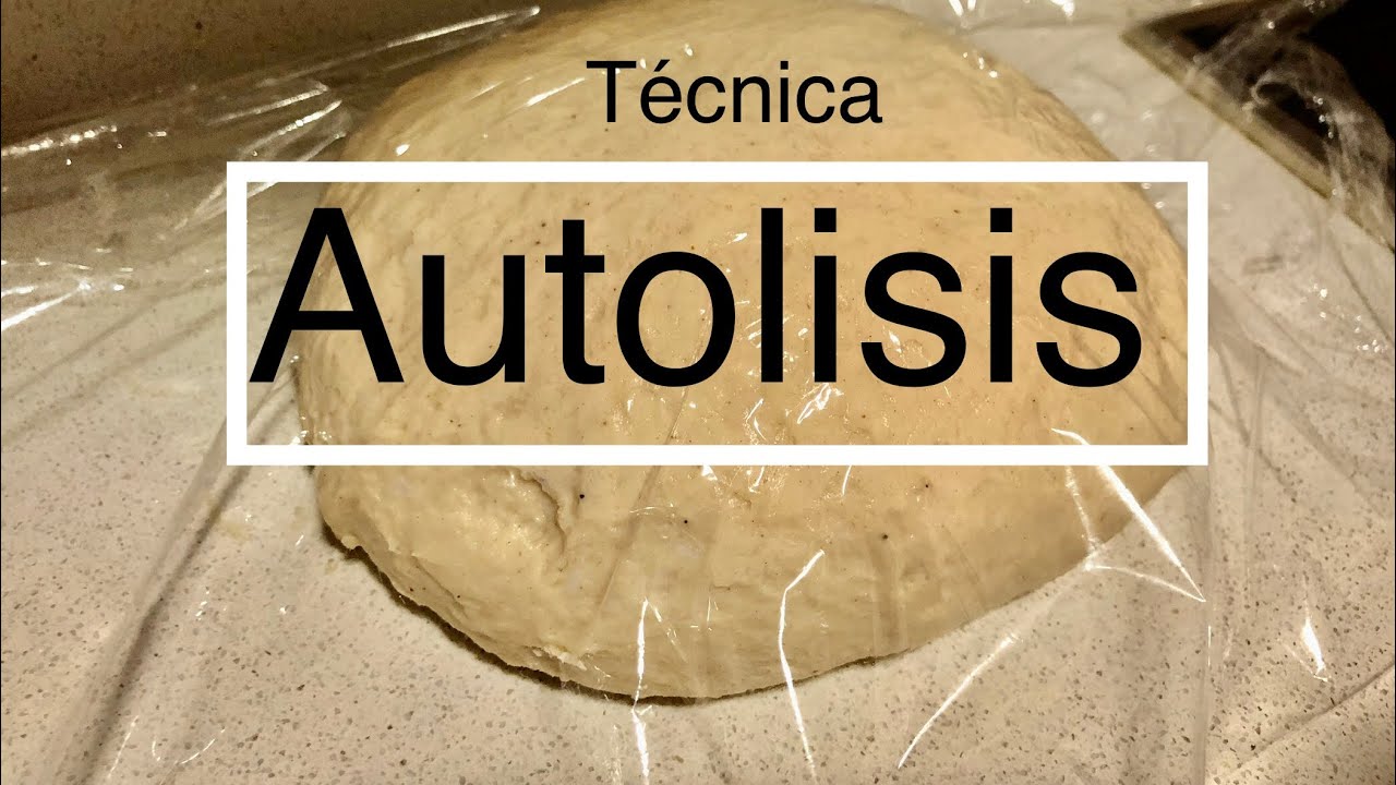 CURSO AVANZADO PIZZERO 4/15 l El AUTOLISIS. - YouTube
