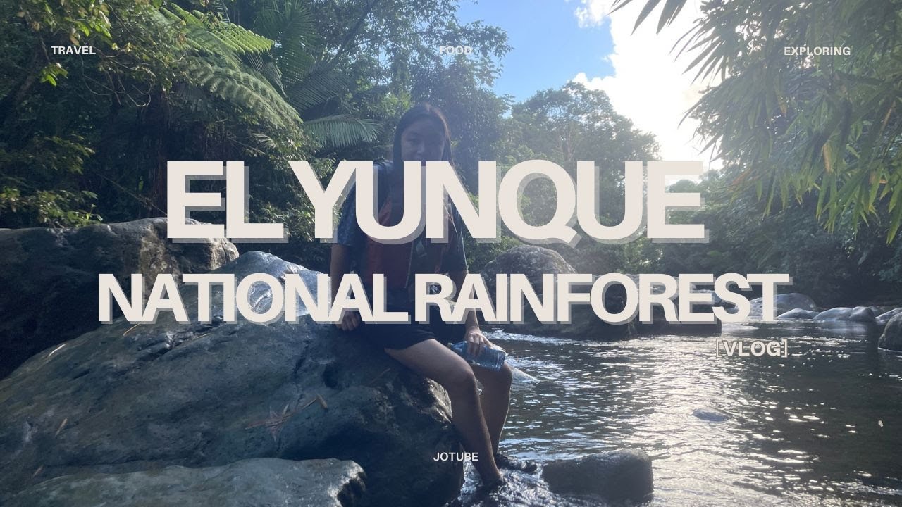 What Happens When You Explore Puerto Rico's Most Remote Jungle? - YouTube