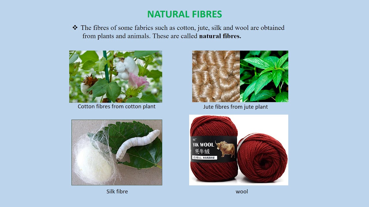 Class VI Science Topic : chapter 3,fibre to fabric, revision class ...