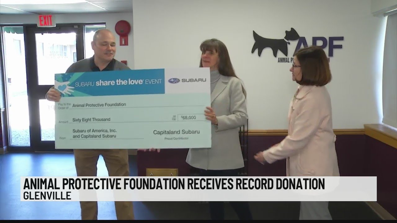 Animal protective foundation receives record donation - YouTube