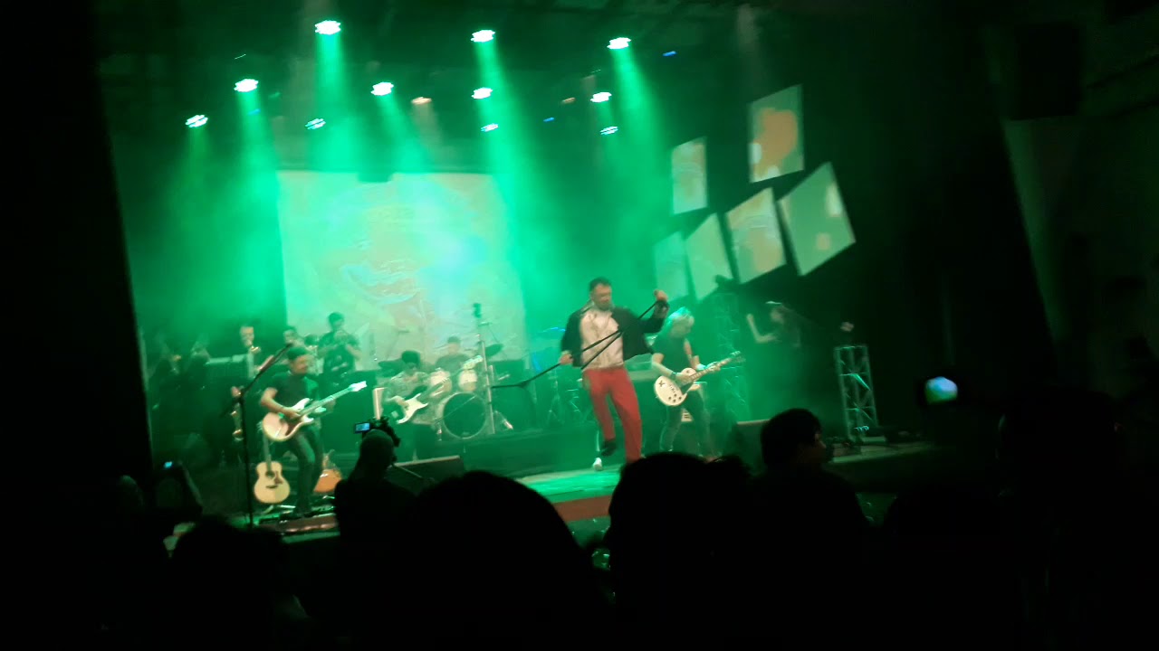 12 Monos: "Made in Paraná" - YouTube