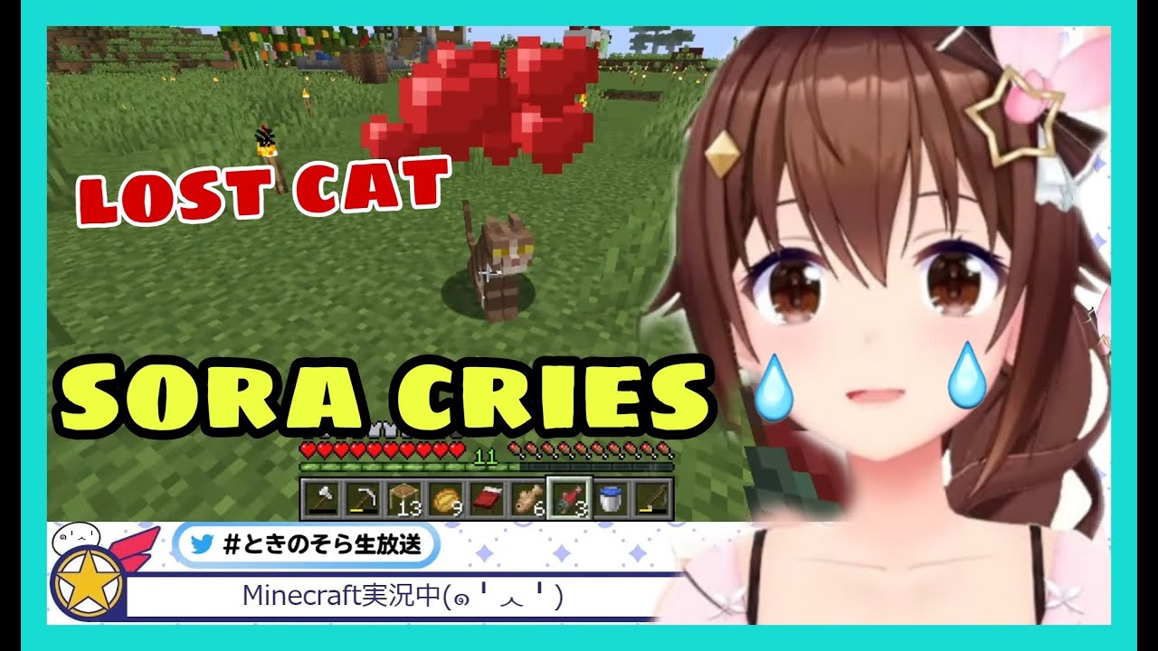 Tokino Sora Almost Cries When Her New Cat Went Missing [Hololive/Eng Sub] - YouTube