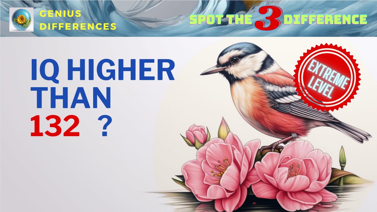 【Spot the Difference #9】Only people with IQ higher than 132 can spot ...