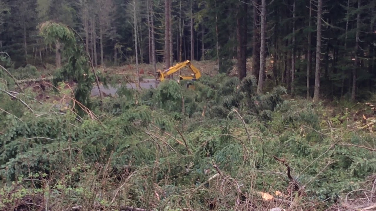 Mechanized timber falling part 2 - YouTube