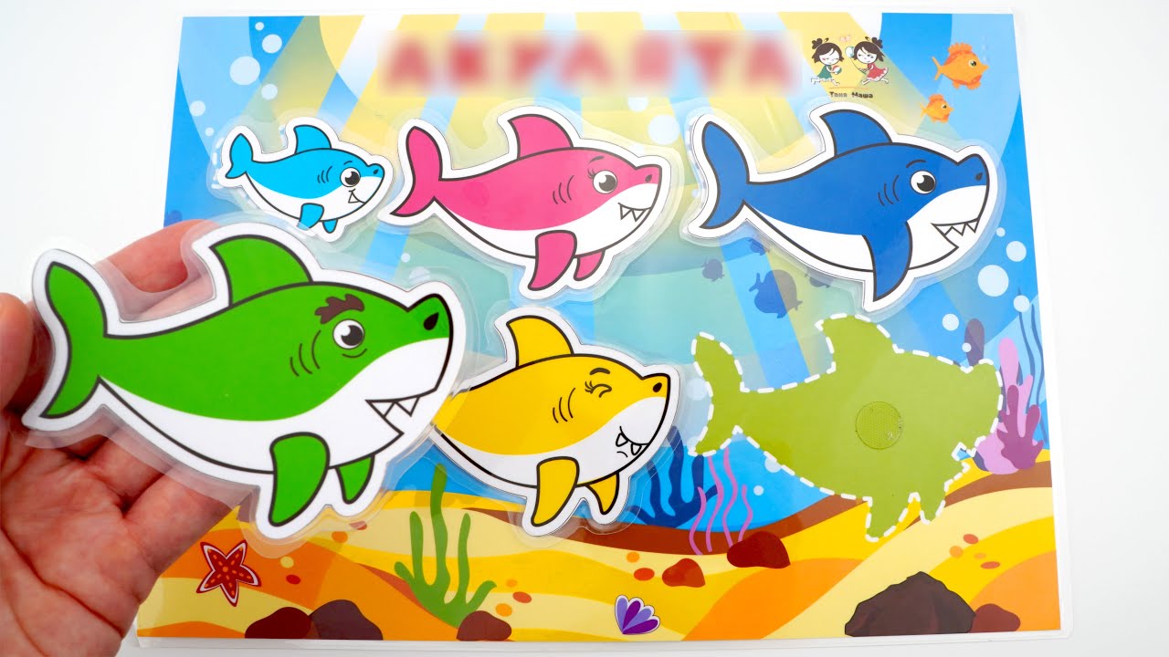 Colorful Shark Family Fun: Learn Colors with Baby Shark and her Family ...