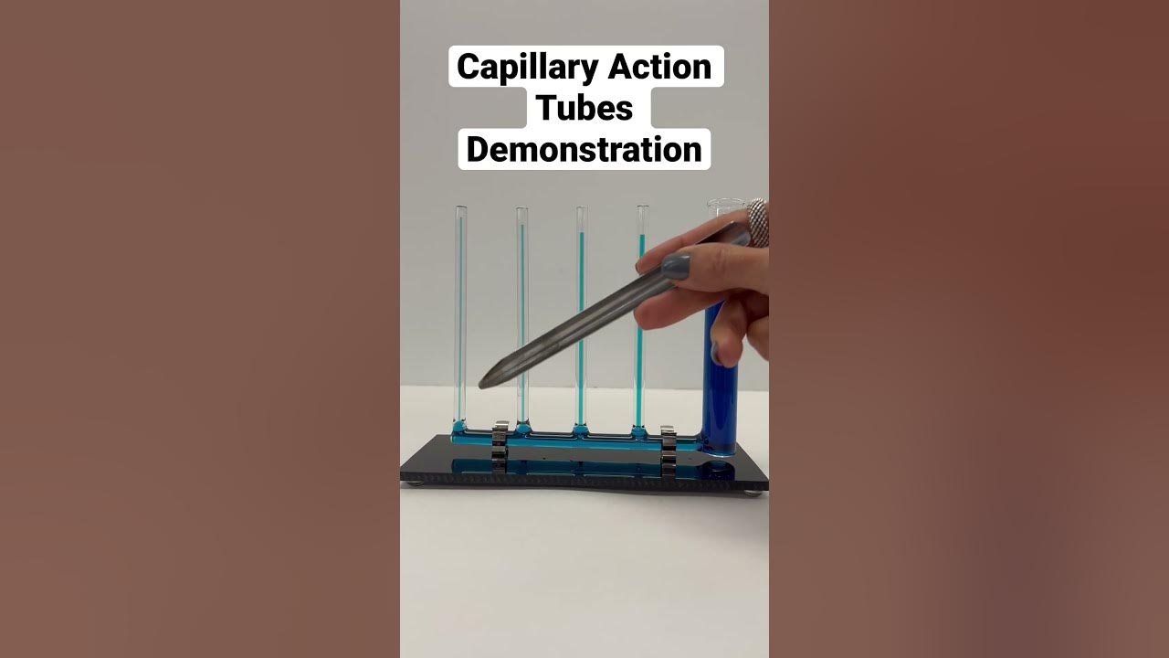 Capillary Action Tube Demonstration - YouTube